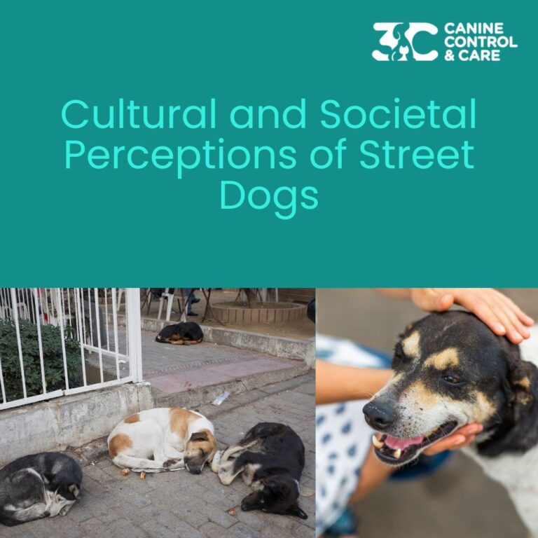 Canine Control & Care