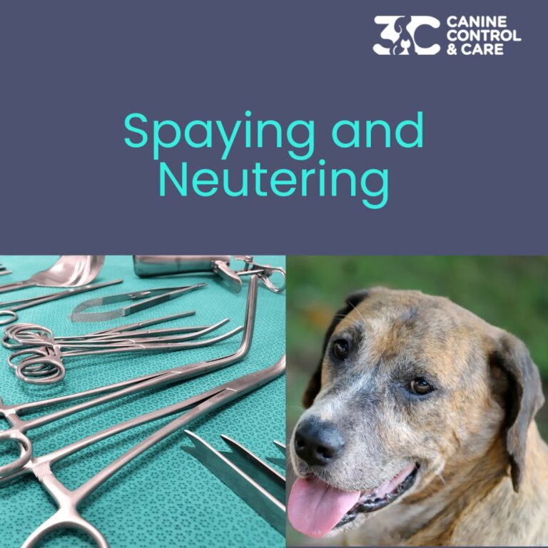 Canine Control & Care