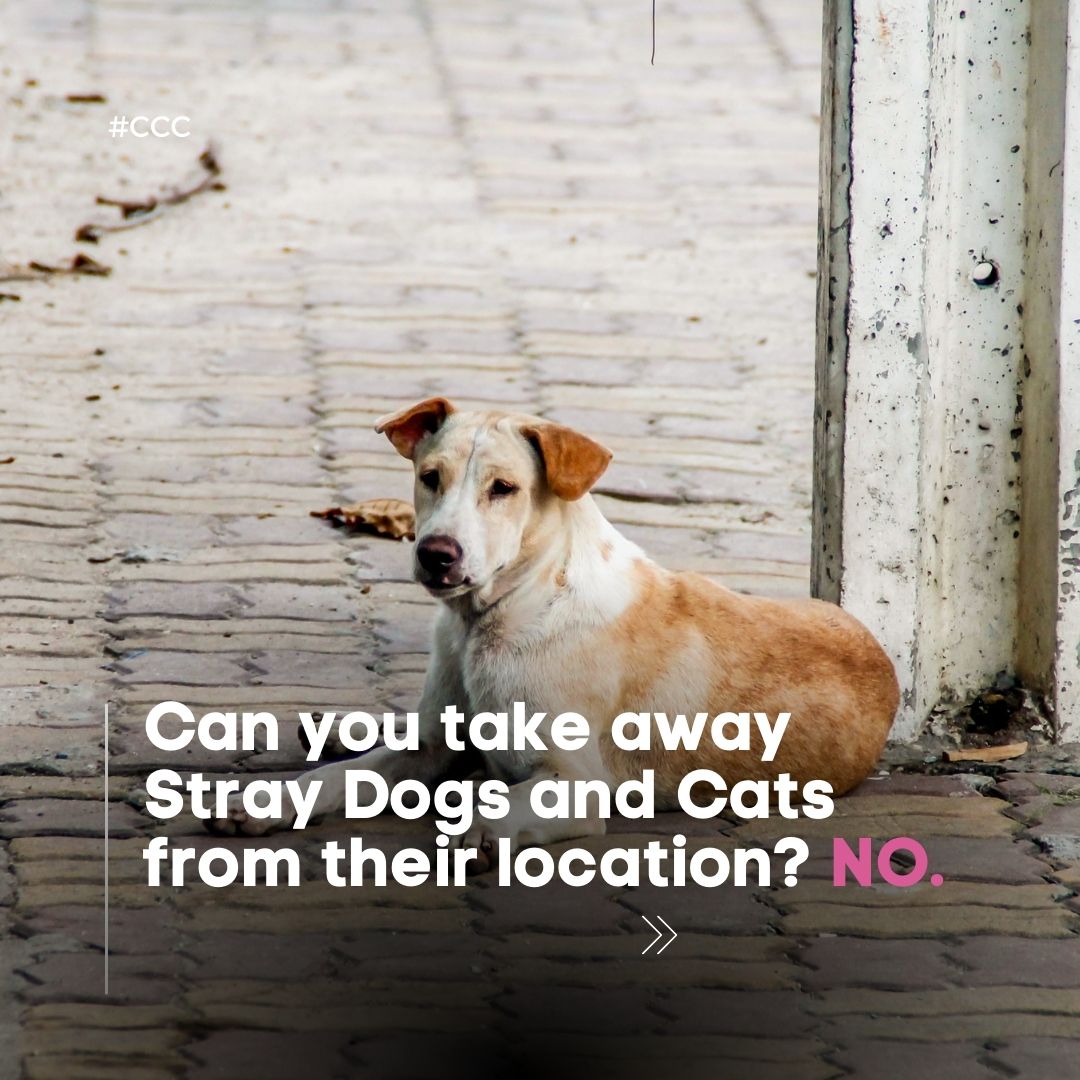 Canine Control & Care