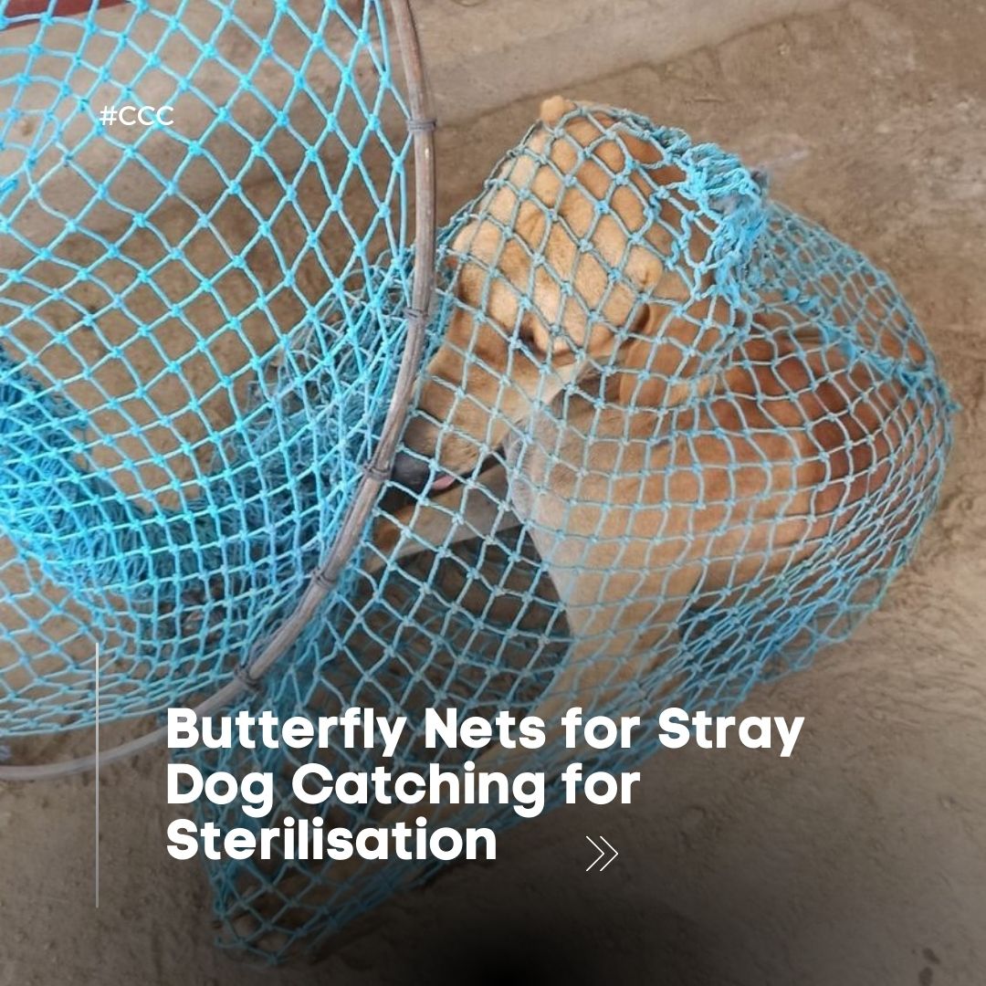 Canine Control & Care