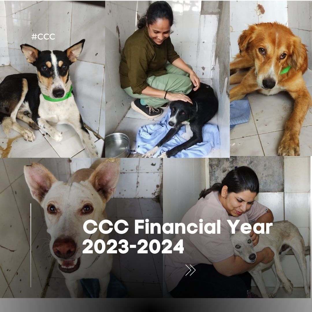 Canine Control & Care