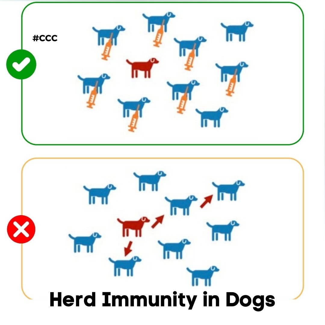 Canine Control & Care